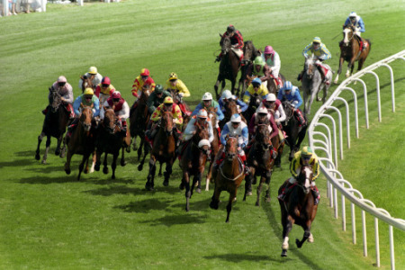 Horse Racing Fields in Scotland - scottishharnessracing.co.uk