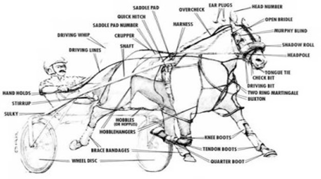 About Harness Racing - scottishharnessracing.co.uk