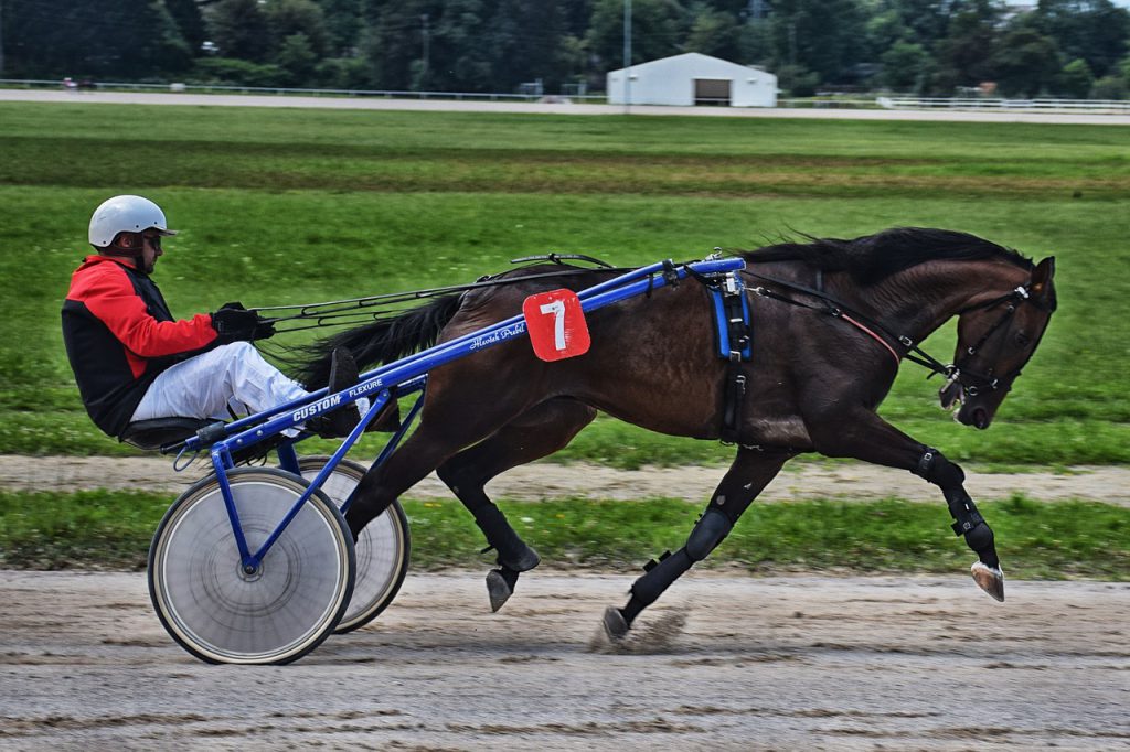 scottishharnessracing.co.uk