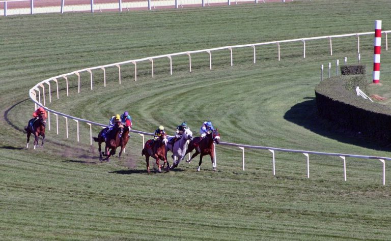 Horse Racing Fields in Scotland - scottishharnessracing.co.uk